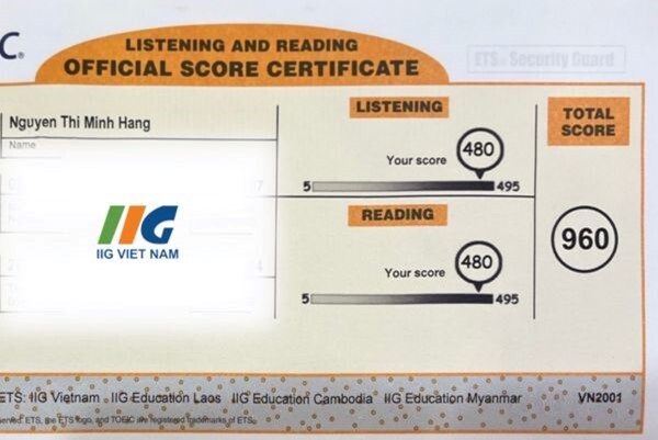 IIG Elearning